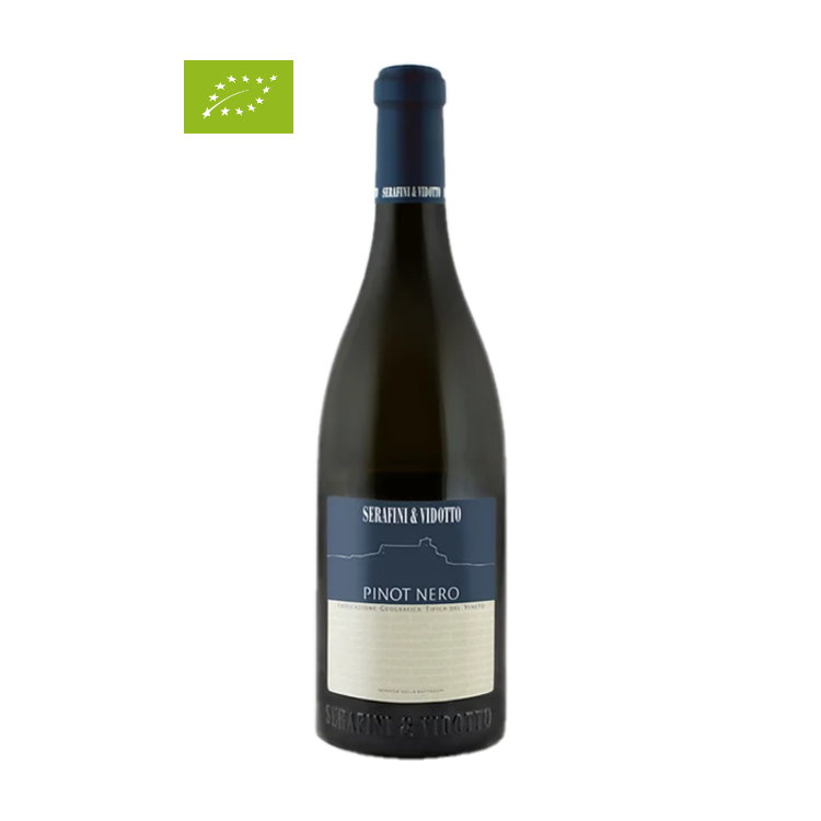 Serafini & Vidotto | Pinot Nero – The Italian Wine Experience